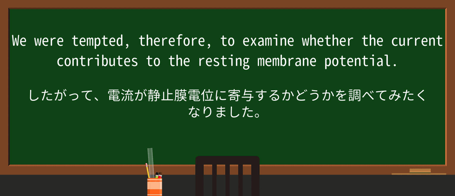 【英単語】temptを徹底解説！意味、使い方、例文、読み方 – おもしろい英文法
