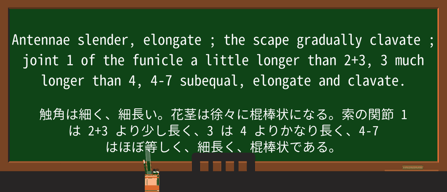 【英単語】scapeを徹底解説！意味、使い方、例文、読み方 – おもしろい英文法