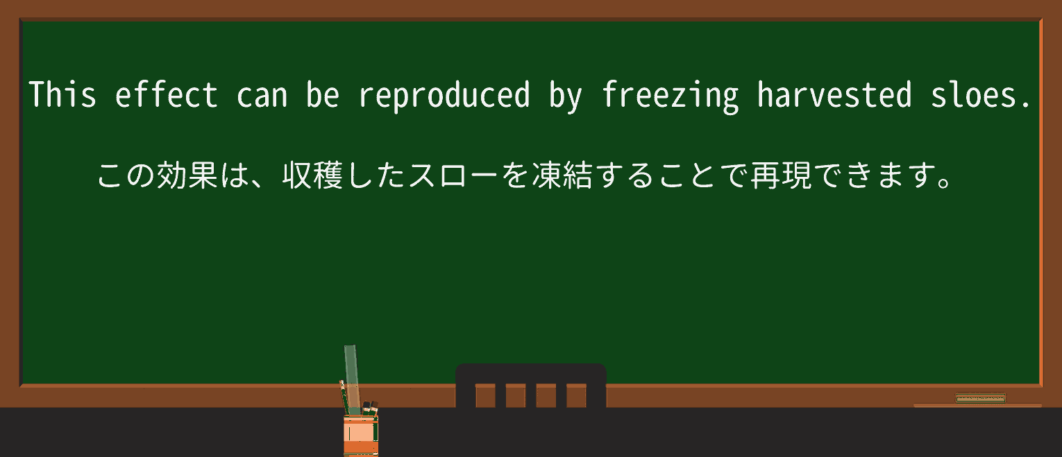 【英単語】sloeを徹底解説！意味、使い方、例文、読み方