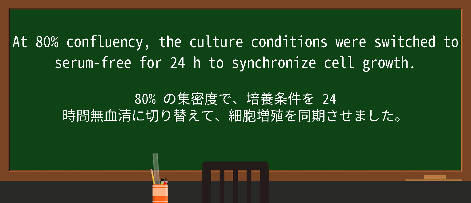 【英単語】confluencyを徹底解説！意味、使い方、例文、読み方 – おもしろい英文法