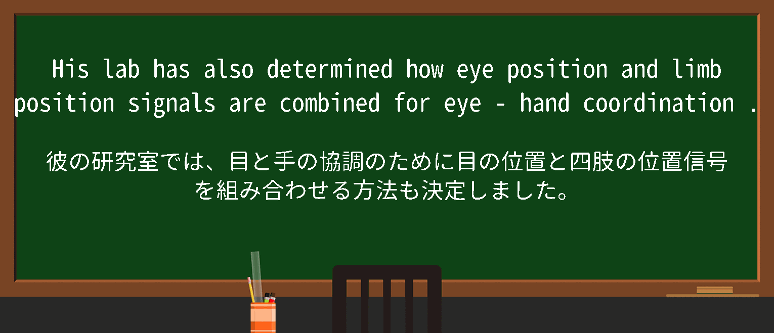 【英単語】eye hand coordinationを徹底解説！意味、使い方、例文、読み方 – おもしろい英文法