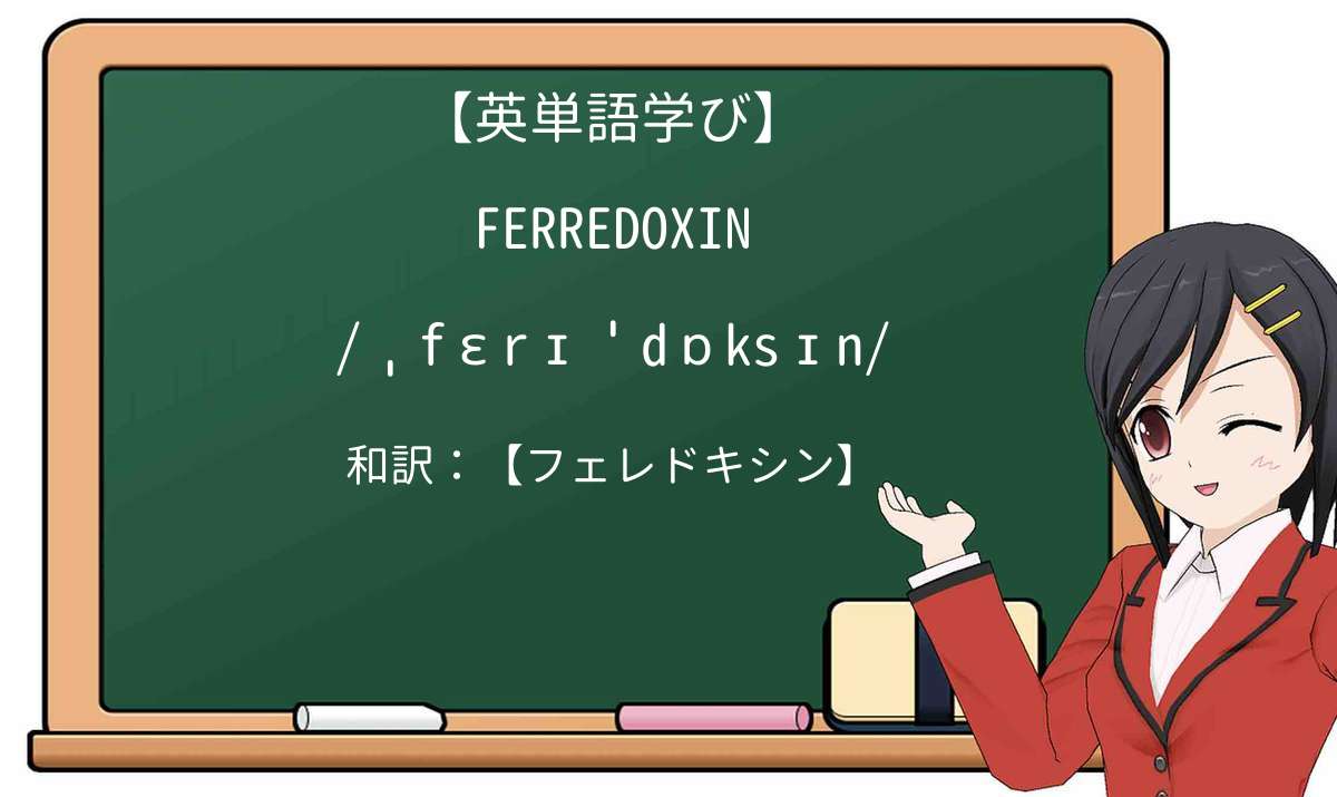 【英単語】ferredoxinを徹底解説！意味、使い方、例文、読み方 – おもしろい英文法