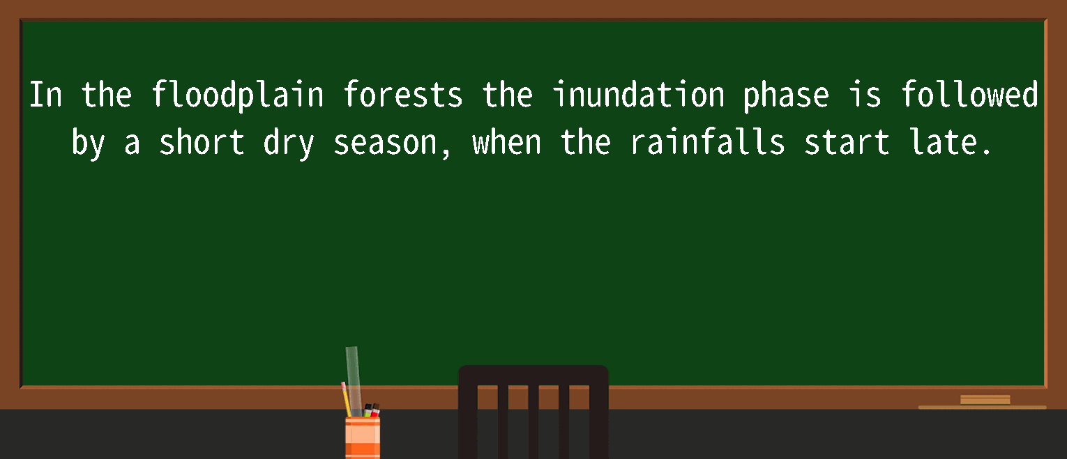 【英语单词】彻底解释“forest”！ 含义、用法、例句、如何记忆 – おもしろい英文法