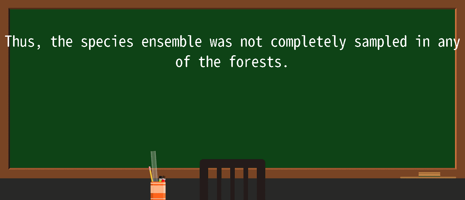 【英语单词】彻底解释“forest”！ 含义、用法、例句、如何记忆 – おもしろい英文法